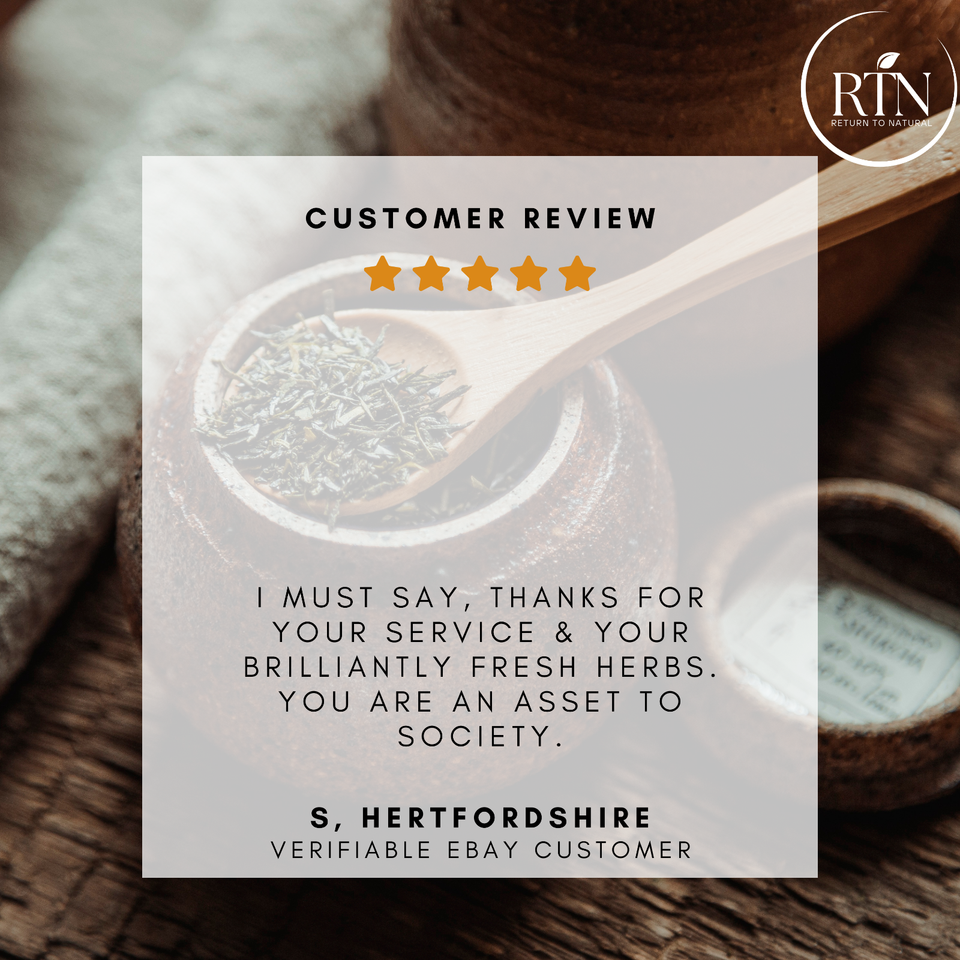 Sheep's Sorrel Dried Herb Tea Szczaw Polny High A Grade Nature Grown 5G ...