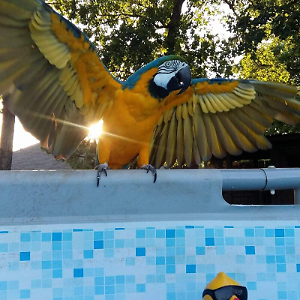 Snooping Around In Paradise | eBay Stores