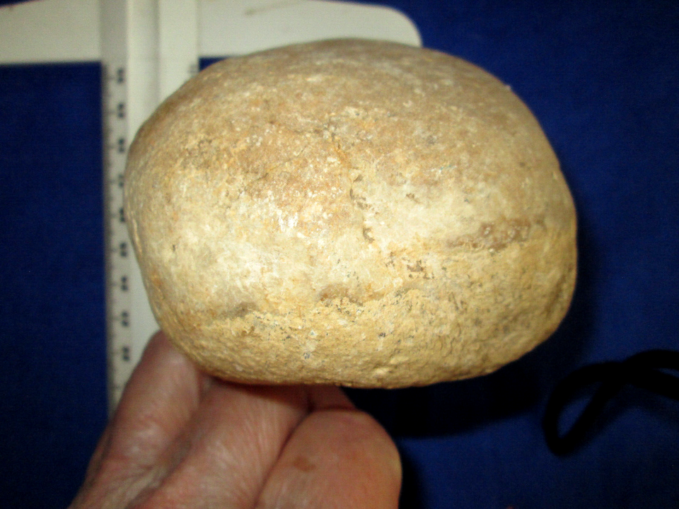 LAKE WACO 1980 Texas Fossil Echinoid Holaster Simplex Cretaceous Age 2 ...
