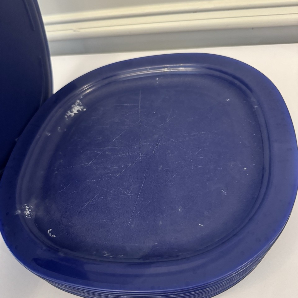 Tupperware Microwave Reheatable Luncheon Plates Tokyo Blue 9.5 inch Set ...