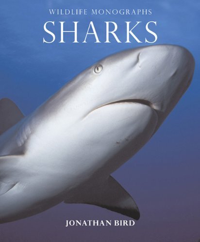 Sharks By Jonathan Bird 9781901268119| eBay
