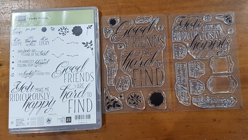 Lovely Friends Stamp Set & Lovely Laurel Thinlits Stampin Up | eBay Australia