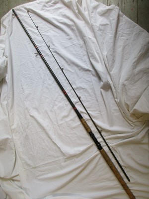 DAIWA 1S16C 2-piece Spinning Rod, Medium Action, Split Cork Grip, Very ...