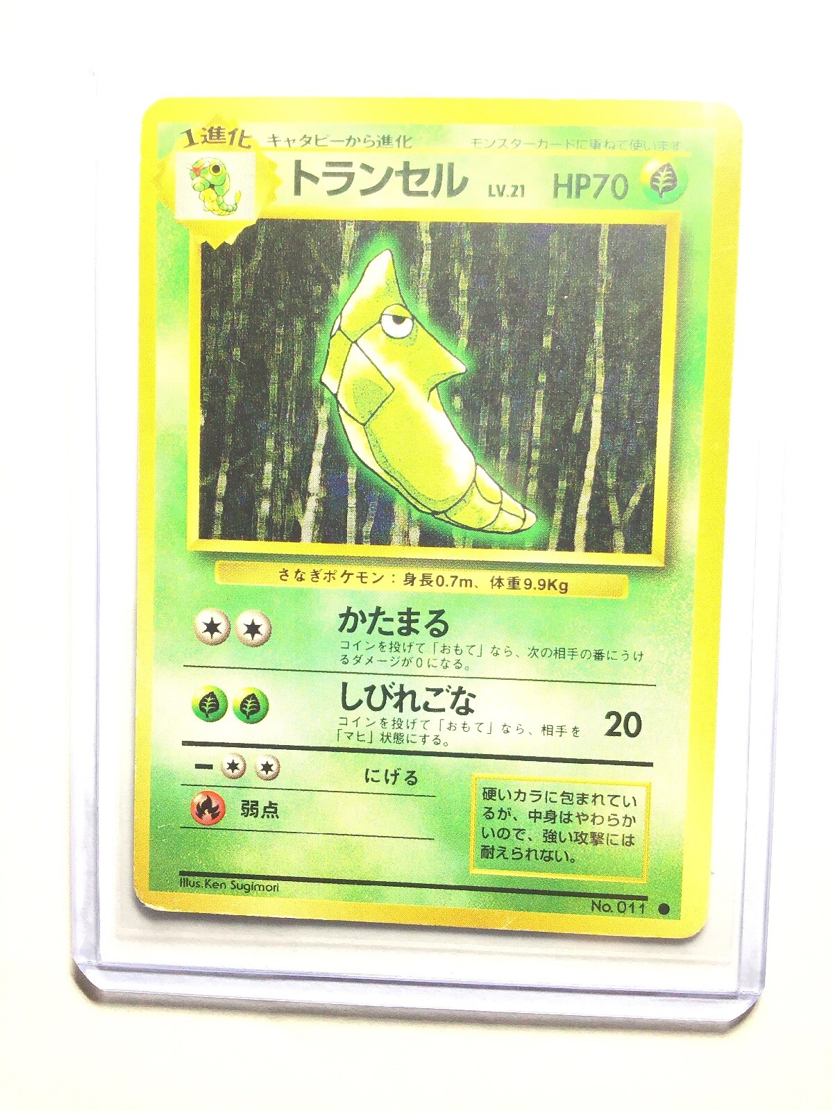 METAPOD - No. 011 - Japanese Base Set - Pokemon Card - Common - NM | eBay