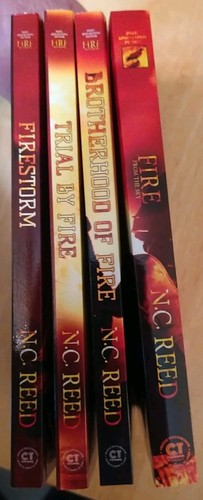 FIRE FROM THE SKY N.C. REED Books 1-4 DYSTOPIAN THRILLER Excellent ...