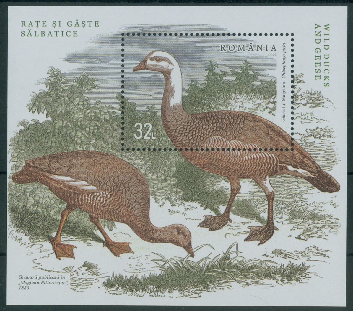 Rumänien 2022 Vögel, Wilde Enten und Gänse,Magellangans Mi.8056-59 ...