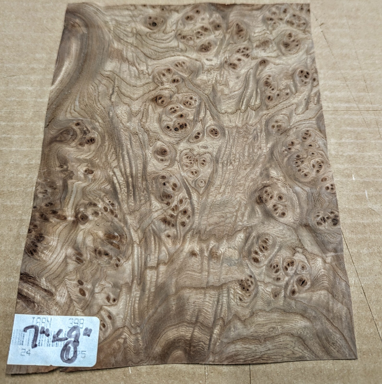 Carpathian Elm Burl wood veneer 7 x 9" raw no backer AA grade 1/42 ...