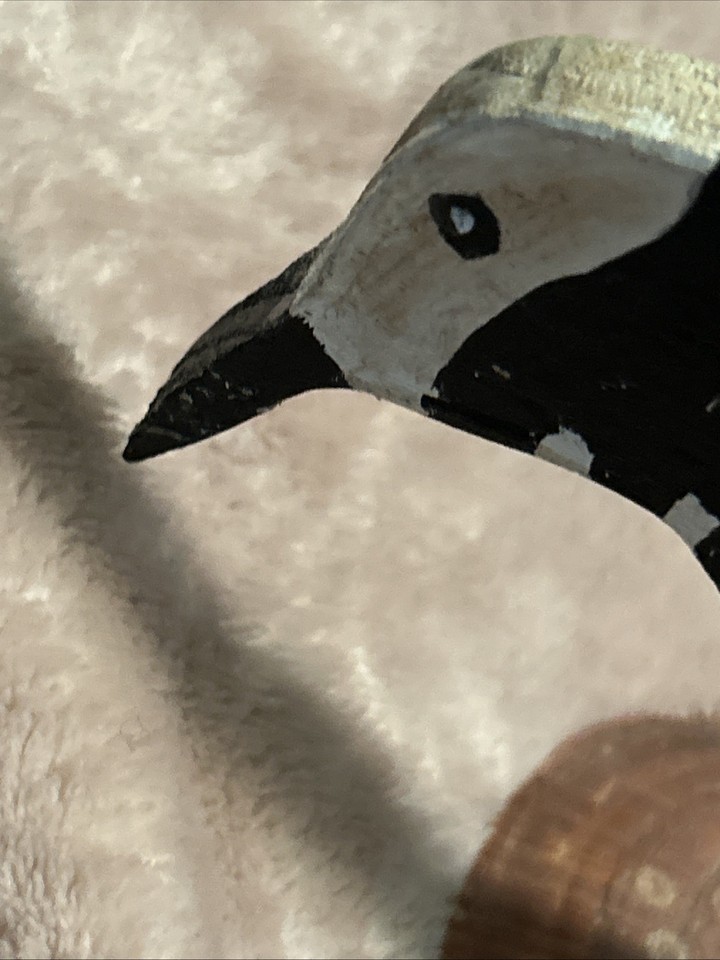 Signed Dove Dupee? carved wood Bird Figurine On Shell Ruddy turnstone ...