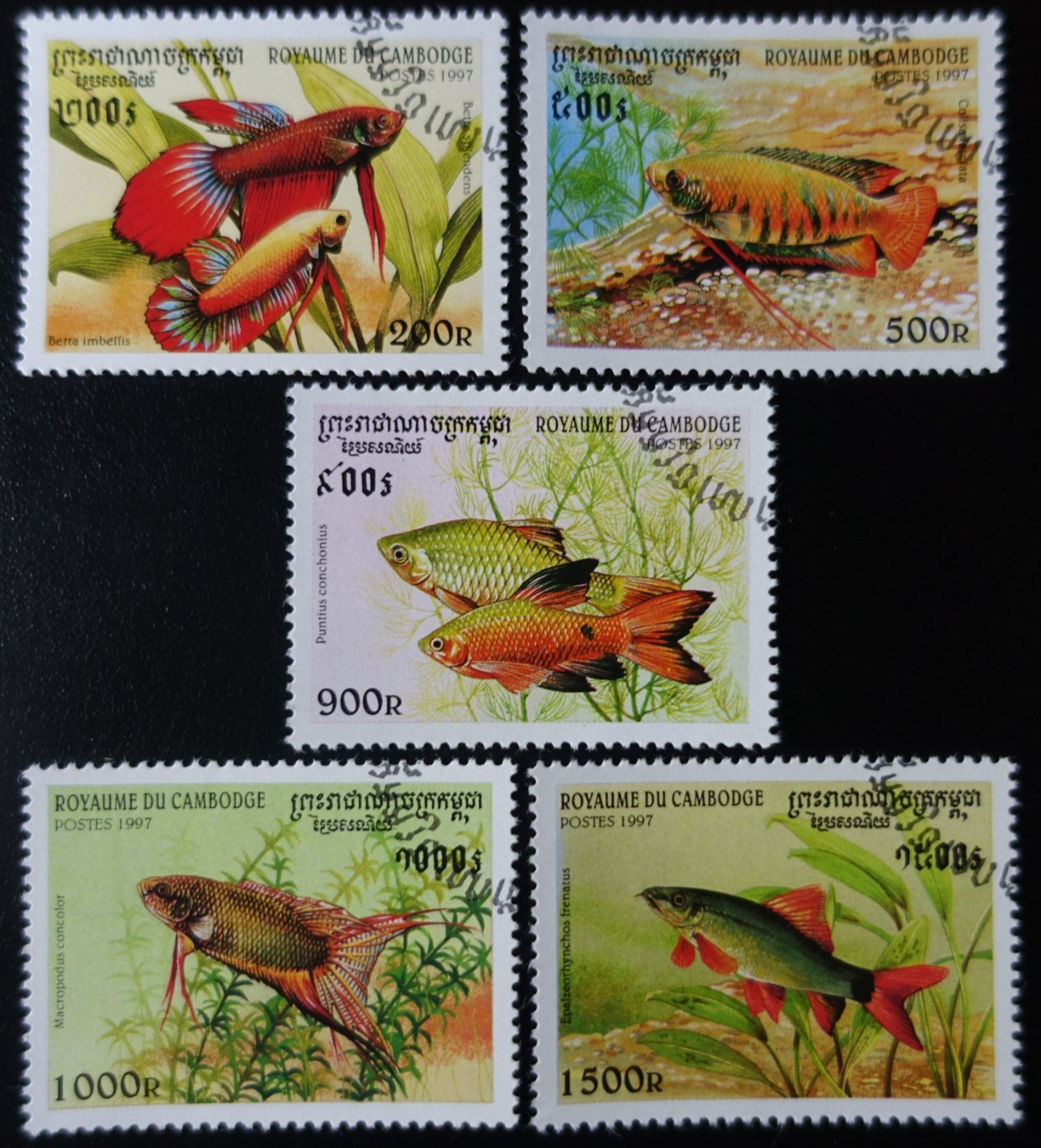 Stamps From Cambodia - Fish N° 1468/1472 used Seal To Date | eBay