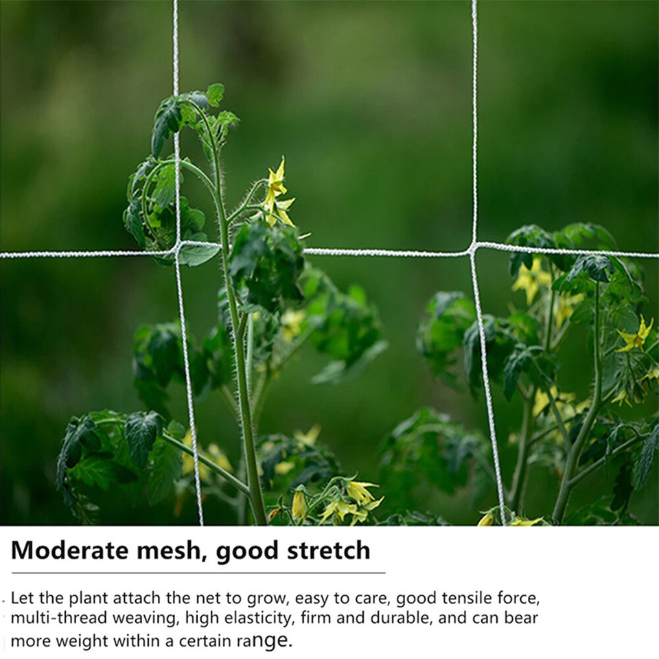 6-350FT Mesh Plant Trellis Net Roll Climbing Plant Scrog Garden Netting ...