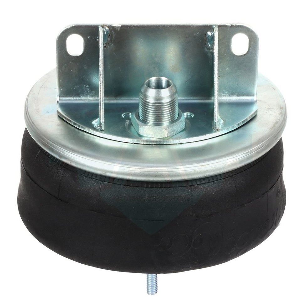 Pair Air Suspension Bag Spring W01-358-9622 For Triangle Springride ...