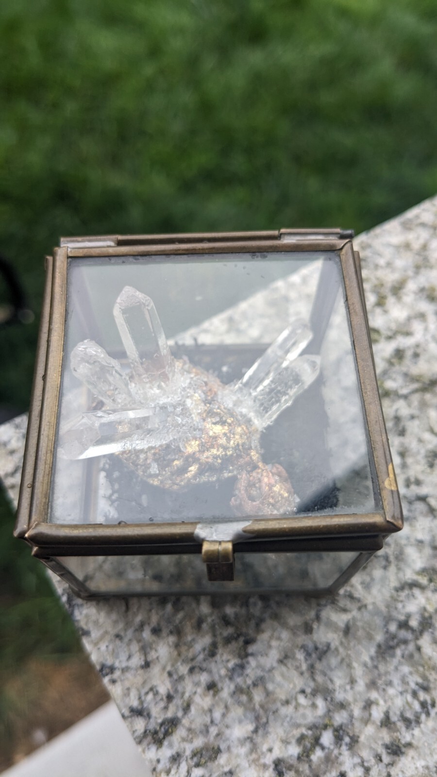 Real Preserved gilded turtle Taxidermy Oddities Art coffin jewelry box ...