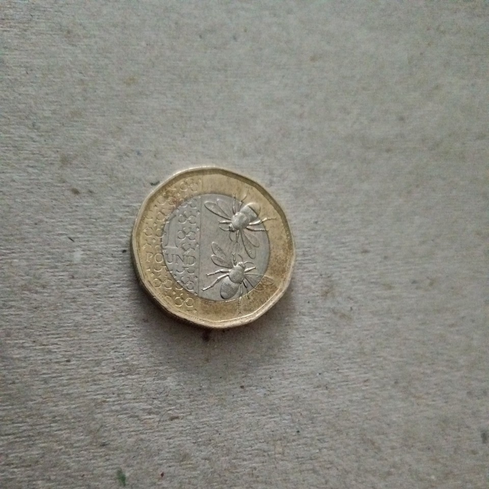 VERY RARE KING CHARLES THIRD BEES 2023 £1 POUND COIN | eBay UK