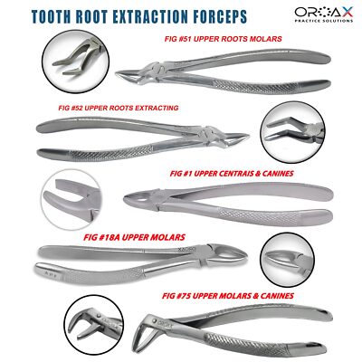 Dental Tooth Forceps For Upper-Lower Molar Canines Premolars Extracting ...