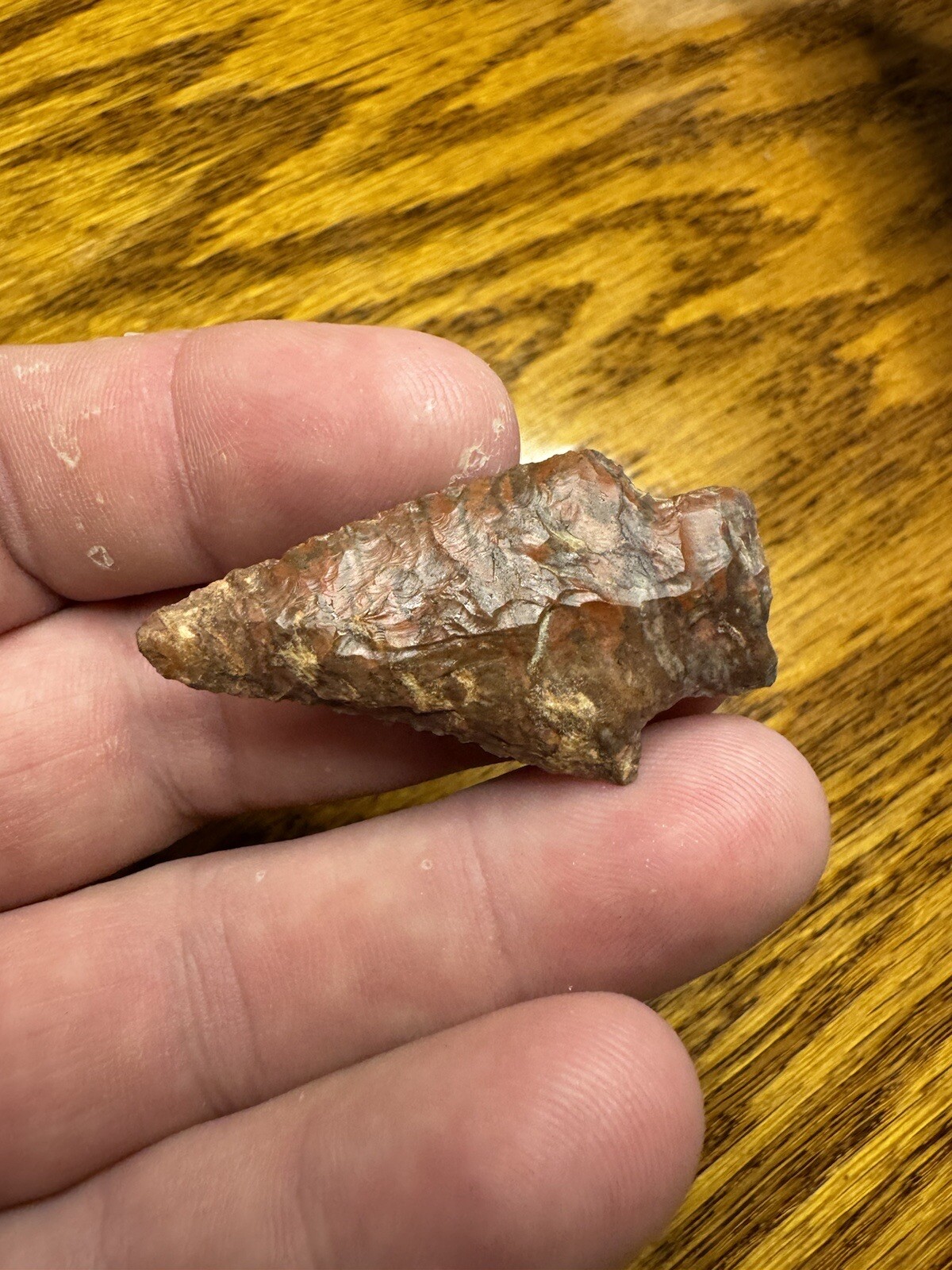 Very Nice Colorful Ancient Authentic Smithsonia Arrowhead From ...