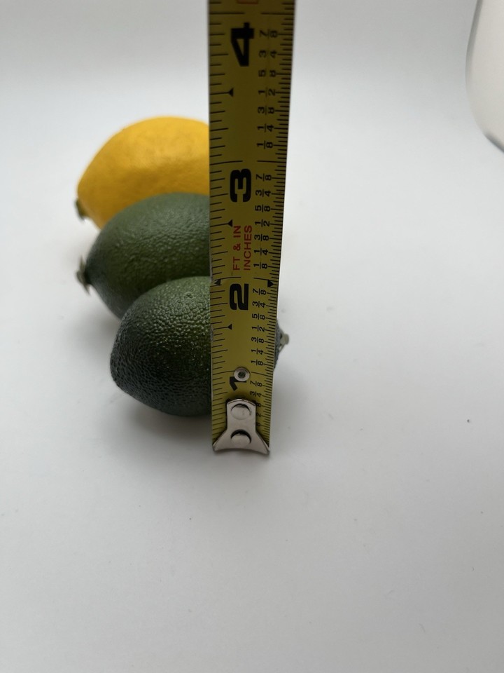 Lot Of 17 Plastic Faux Fake Citrus Fruit Lime Lemon Kitchen Decor Prop ...