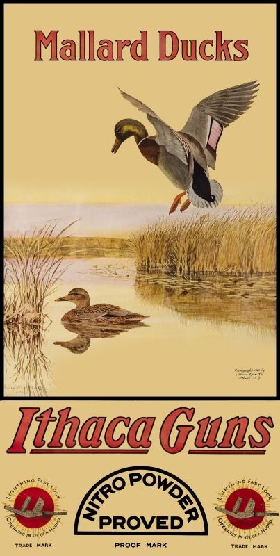 Ithaca Guns - Mallard Duck Hunting Theme NEW Sign 24 x 48" USA STEEL ...