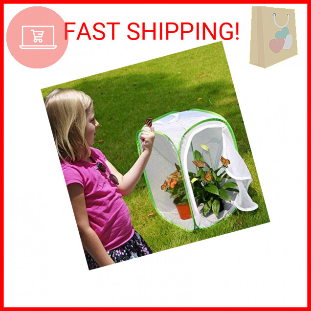 RESTCLOUD Insect and Butterfly Habitat Cage Terrarium Pop-up 23.6 ...
