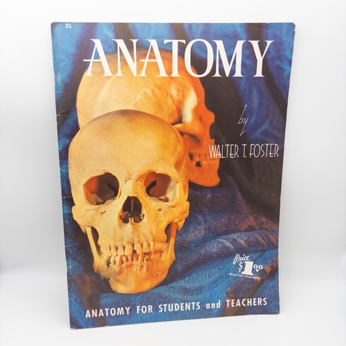 Vintage Anatomy by Walter T. Foster #21 Art Drawing Book for Students ...
