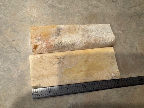 BEAUTIFUL NATURAL BONE KNIFE HANDLE MATERIAL BLANK SCALES | eBay