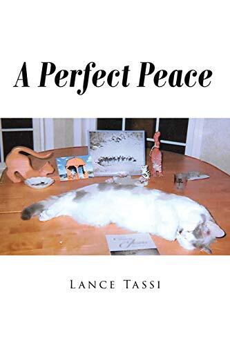 A Perfect Peace 9781645155676| eBay