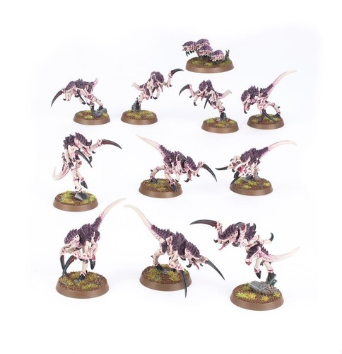 10x Hormagaunts + 1x Ripper Swarm - Tyranids - Warhammer 40k | eBay