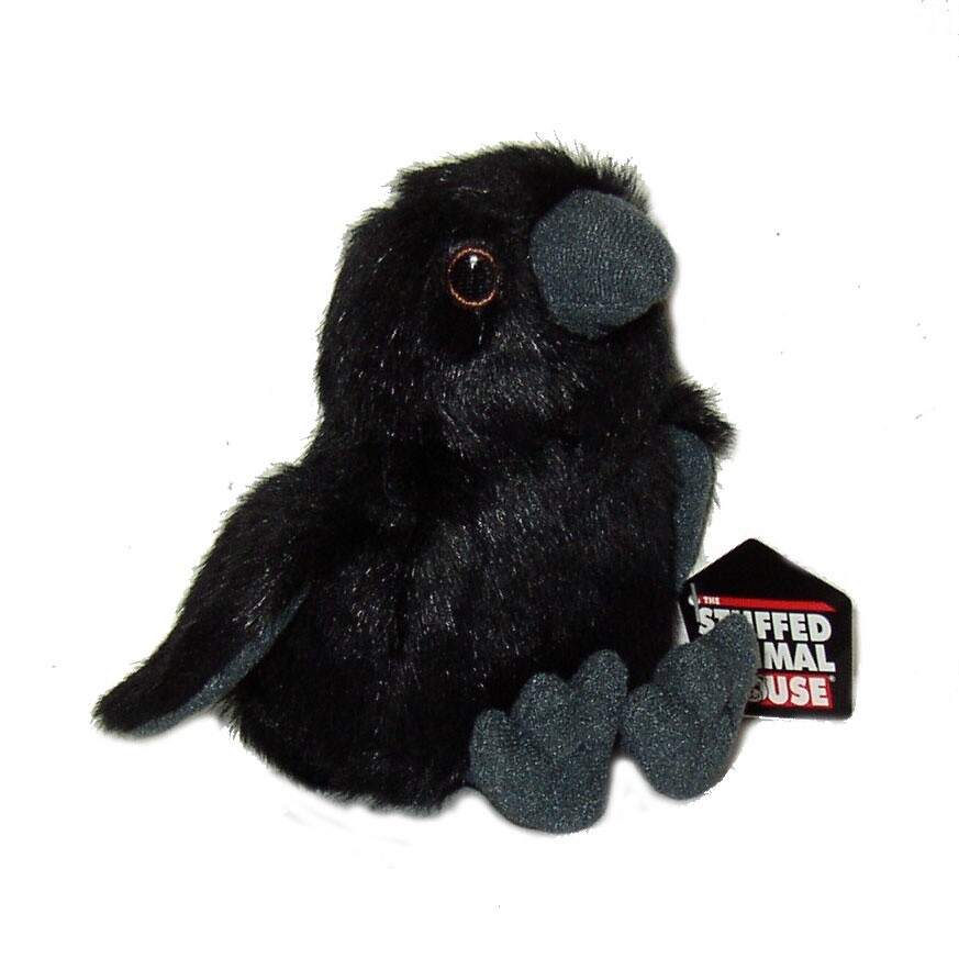 Black Raven Crow Plush Stuffed Animal Cute Little Bird NEW | eBay