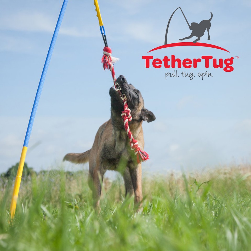 Tether Tug V2 Outdoor Dog Interactive Toy Tugging Pull Exercise 5-70 ...