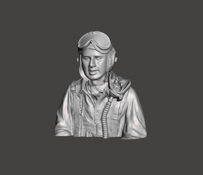 WWII USAF war pilot bust STL | eBay