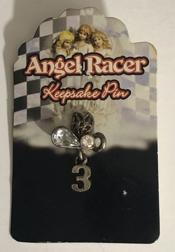 Dale Earnhardt #3 Angel Racer Keepsake Pin J1 | eBay