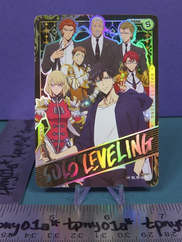 HR SL1E-093 SOLO LEVELING AUTHENTIC Solo Leveling Mapniverse Card | eBay