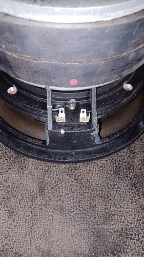 Sunfire 10" True Subwoofer Active Driver SW-1001-W Works | eBay