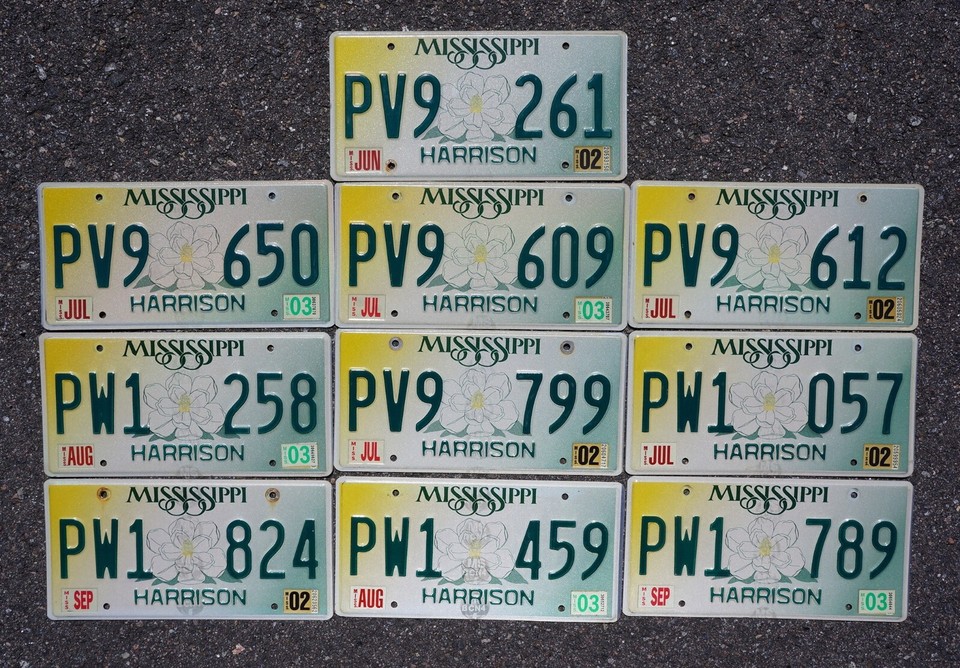 BULK MISSISSIPPI GOOD Graphic License Plates - Various Designs License ...