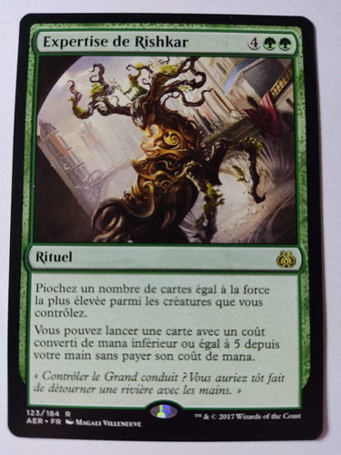 MAGIC MTG - VF Expertise de Rishkar / Rishkar's Expertise, La révolte ...