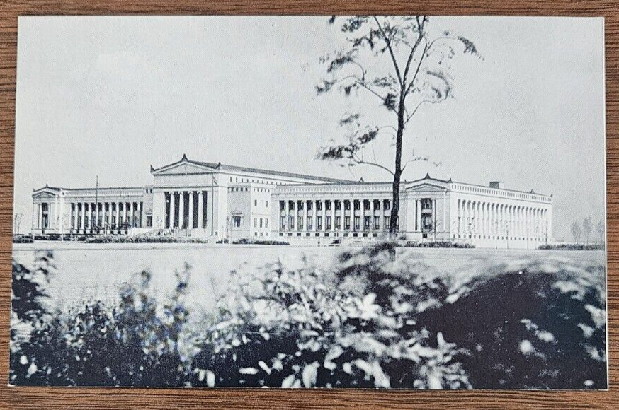 2 Chicago IL 1950s Field Museum postcards Elephants Natural History ...