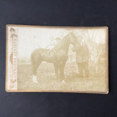 Photo Cabinet Ancienne Cheval Époque 1900 Horse Photography | eBay
