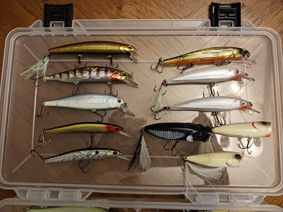 Fishing Lures Lot of 32! Jerkbaits, Topwaters, Berkley, Duo Realis ...