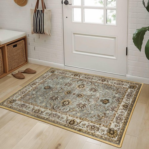 Front Door mat 2x3 Ft Washable Area Rug Small Entryway Indoor Non-Slip ...