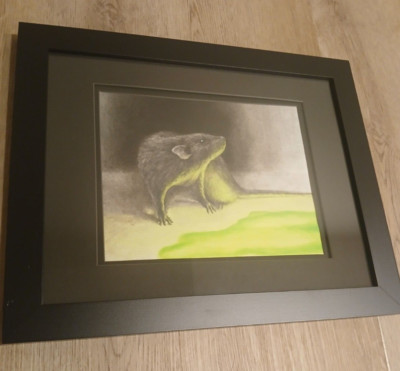 Original Cody Jimenez graphite on paper Splinter rat TNMT art framed | eBay