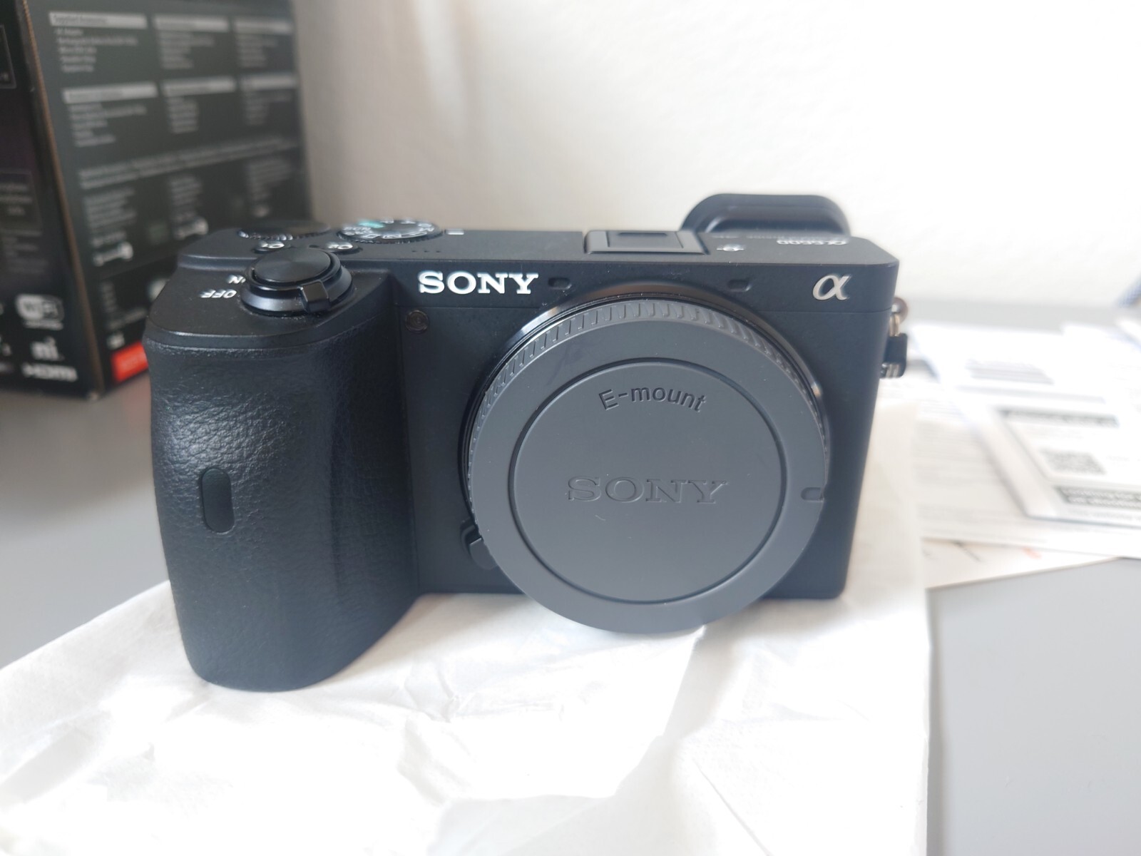 Sony Alpha a6600 24.2MP Mirrorless Camera 2000 Shutter, W/small rig L ...