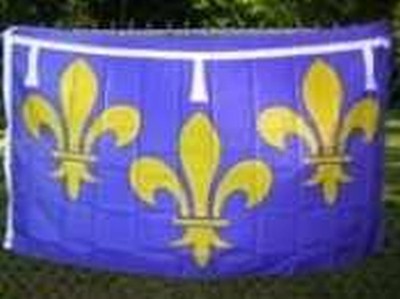 Flag of Orleanais 3x5 ft French Region France Province Orleans Fleur-de ...