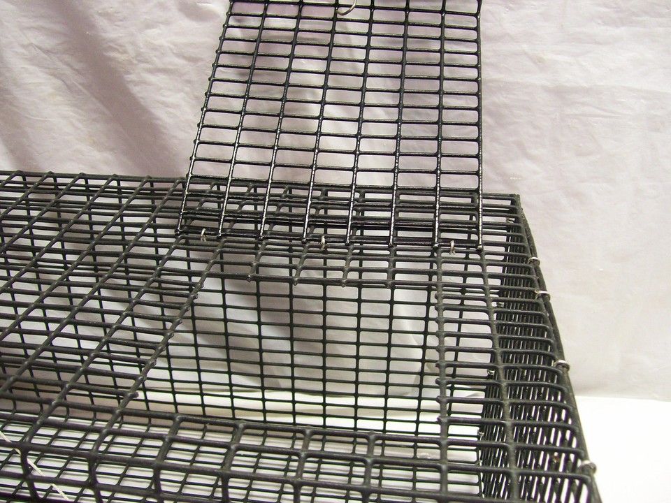 E-Z Catch Custom Commercial Eel Pot, Trap, Buoy & Rope PVC Coated Ready ...