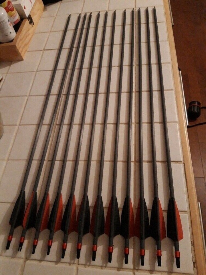 12pcs 30" Fiberglass Hunting Practice Arrows With Removable Tip for ...