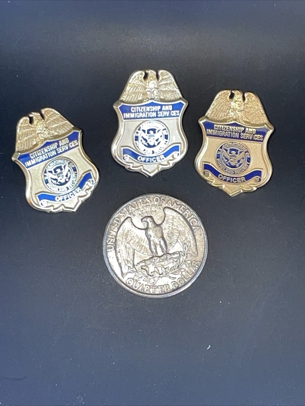 US Citizenship & Immigration Services USCIS Lapel Tie 1-Inch Pin (Lot ...