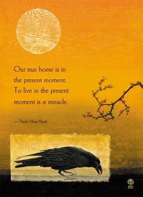 Our True Home: 6 Greeting Card Pack by Amber Lotus (English) Cards Book ...