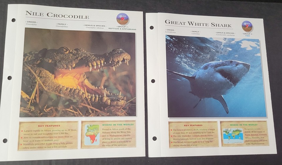 Wildlife Explorer Cards - 9 Cards - Groups 1, 3, and 4 | eBay