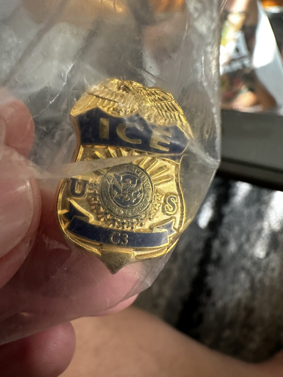ICE C3 U.S. DEPARTMENT OF HOMELAND SECURITY PIN - NEW/Original Pkg | eBay