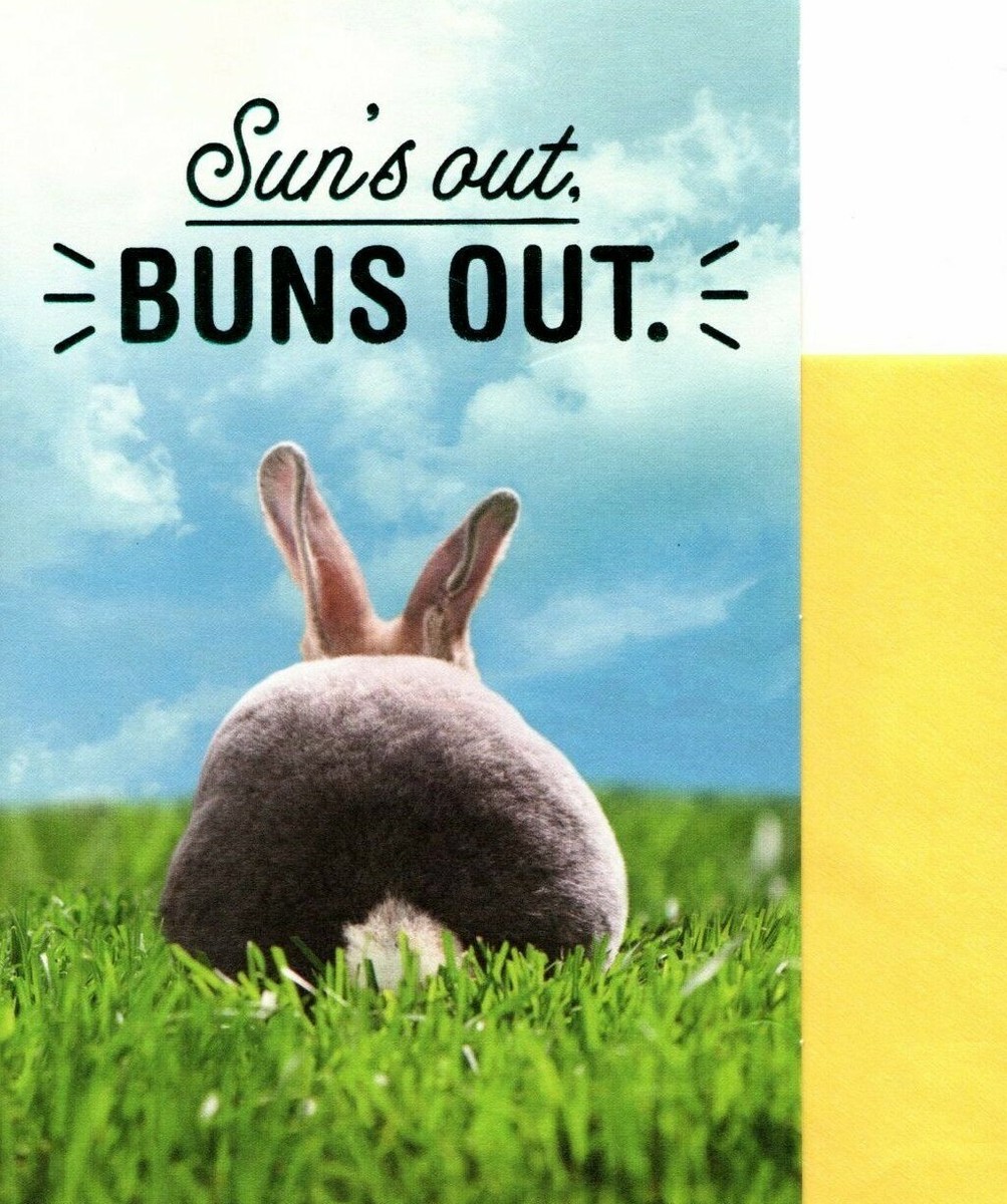 Hoppy Easter Bunny Meme Happy Easter Funny Bunny Background Vector