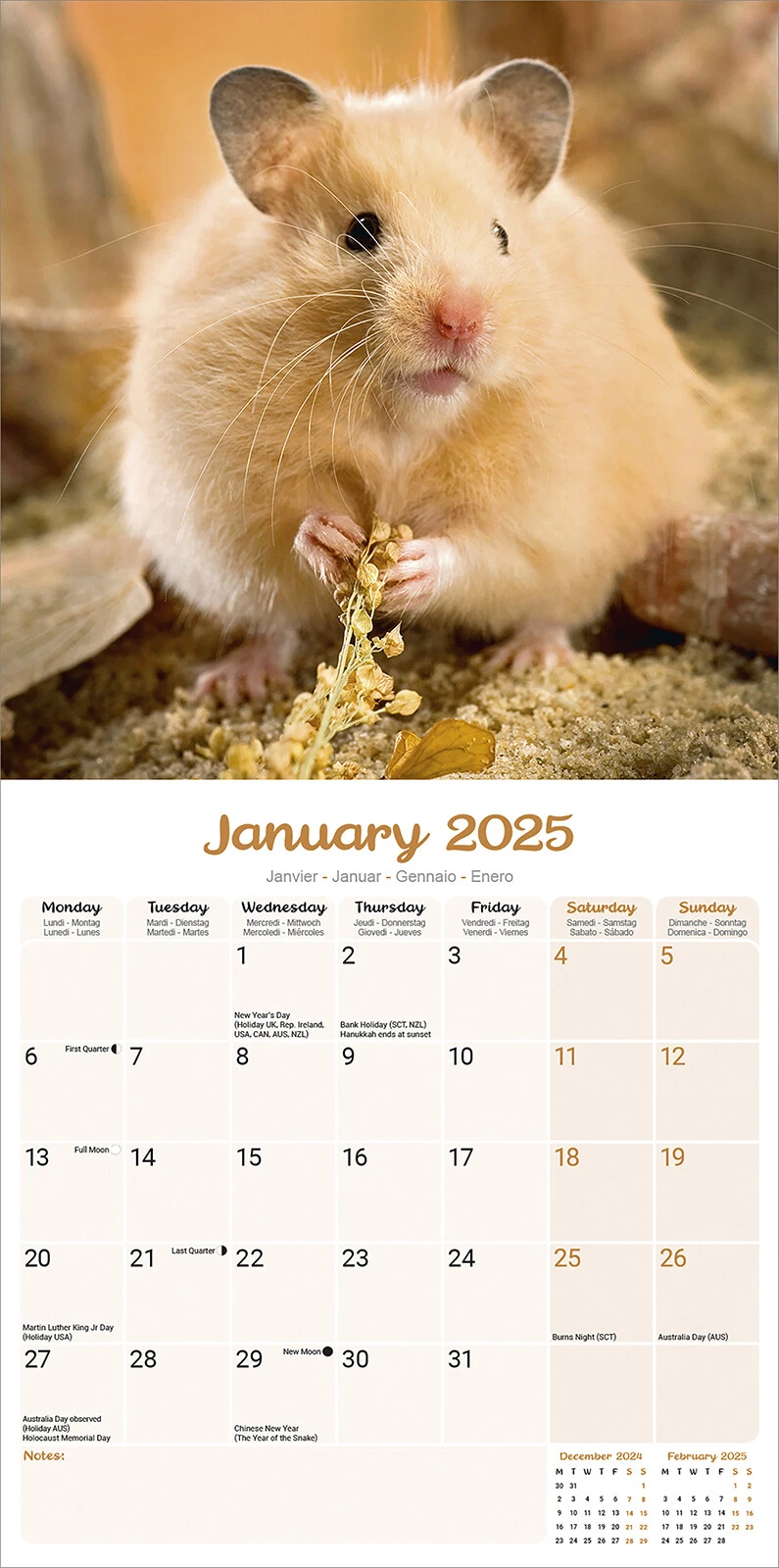 Hamsters Calendar 2025 Gift Wall Calendar 15% OFF MULTI ORDERS | ID ...