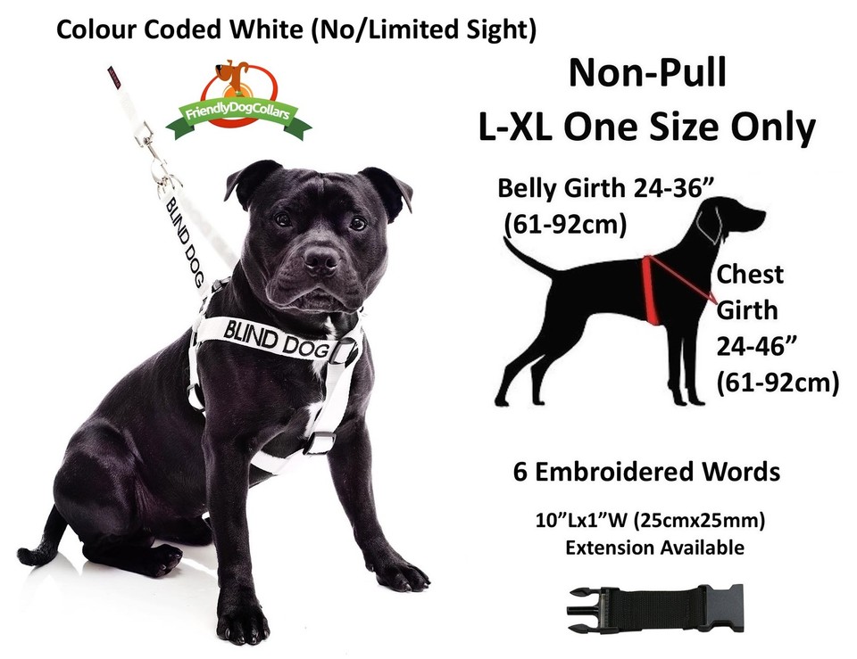 Strong As Leather Staffy Staff Staffie Dogs Harness Lead Leash Collar ...